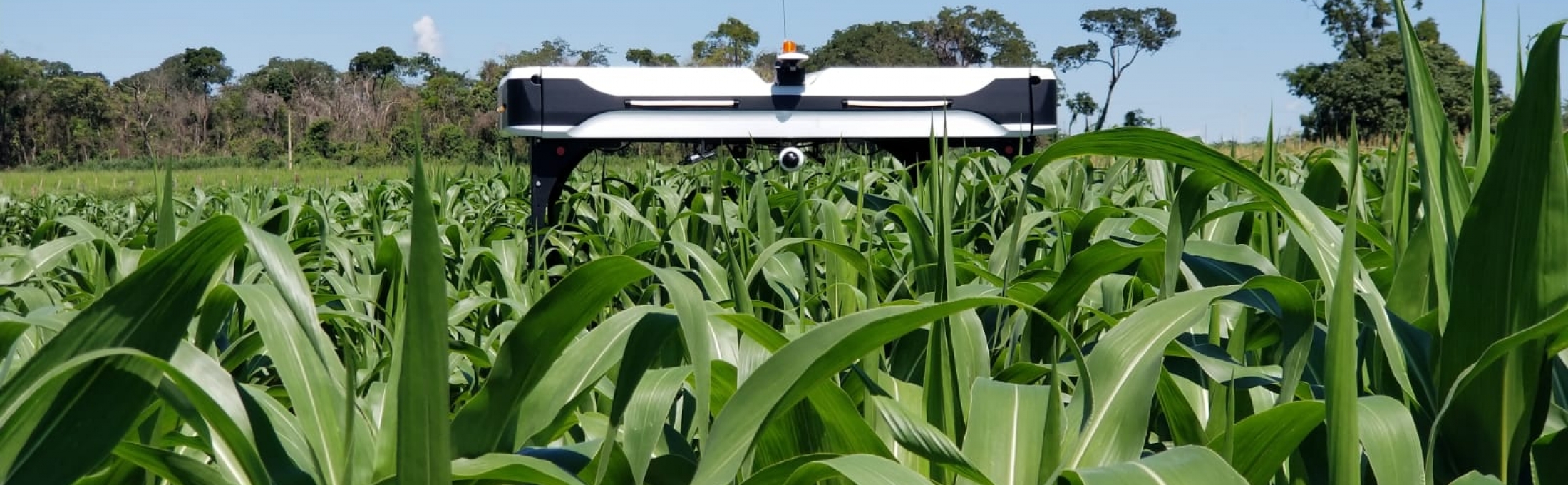 Lightsmith leads $60 million investment round in Solinftec, a leading ...